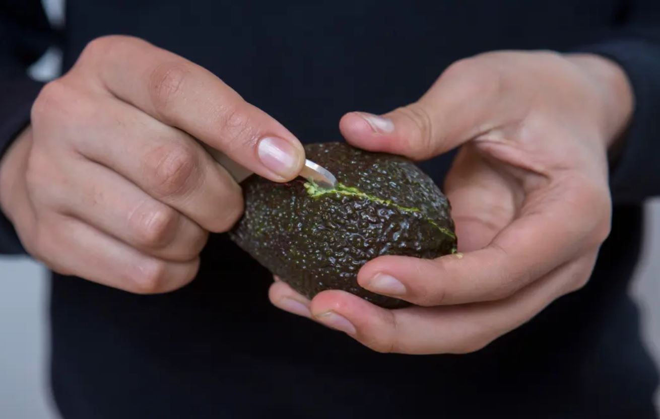 Avocado a Day – BE OPEN BLOG