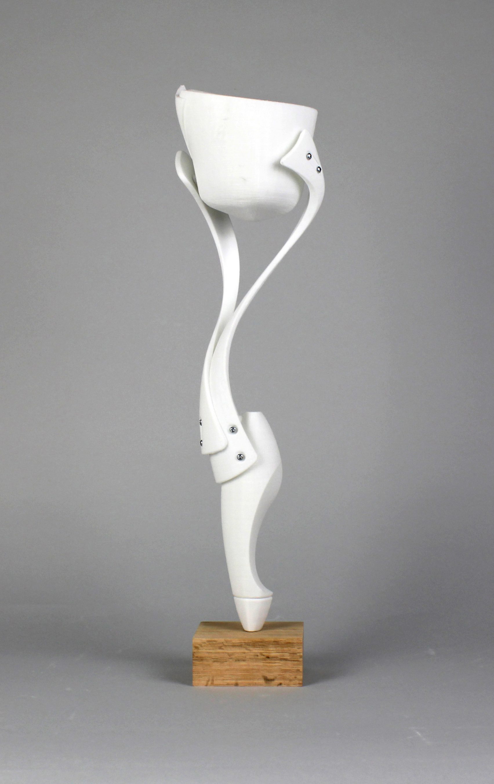 Designer Prosthetics – BE OPEN BLOG